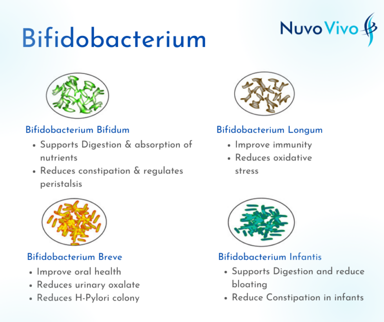 Probiotics Vs Prebiotics - differences, food, supplements and more