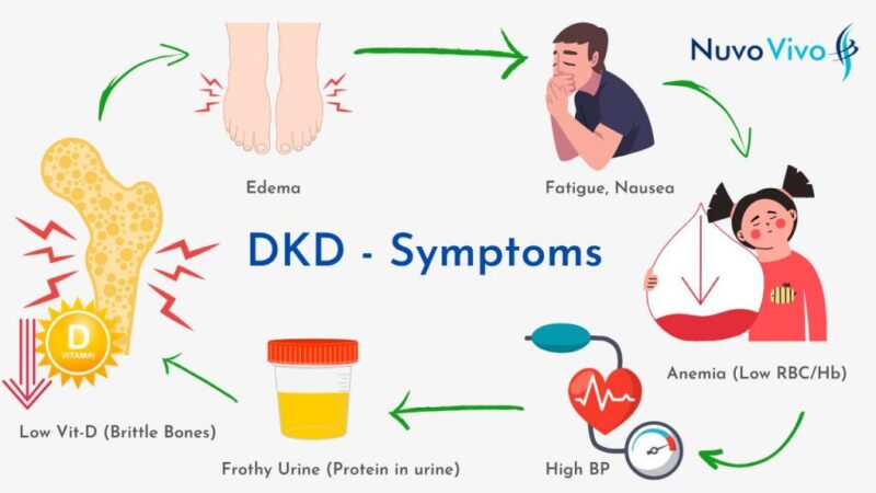 Diabetic Kidney Disease: Tips for Maintaining Healthy Kidneys ...